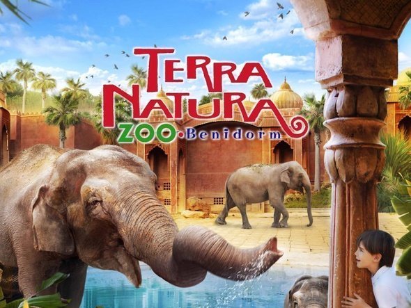 Magic Natura Resort’sServices, in Benidorm. Official Website