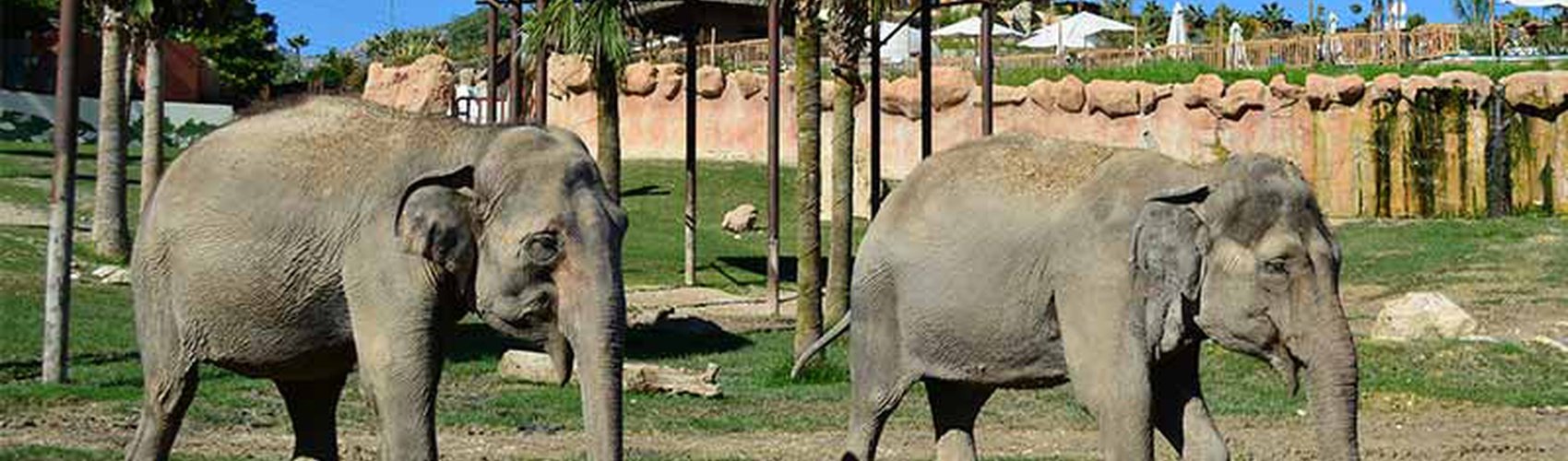 Magic Natura Animal, Waterpark Resort’s Discovery in Terra Natura of ...